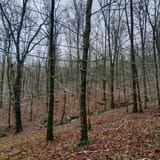 QuiVaLa Elise Falls Trail, Arkansas - 179 Reviews, Map | AllTrails