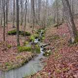 QuiVaLa Elise Falls Trail, Arkansas - 179 Reviews, Map | AllTrails