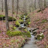 QuiVaLa Elise Falls Trail, Arkansas - 179 Reviews, Map | AllTrails