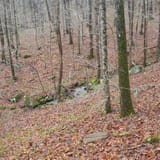 QuiVaLa Elise Falls Trail, Arkansas - 179 Reviews, Map | AllTrails