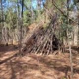 Saunders Springs Nature Preserve Loop, Kentucky - 357 Reviews, Map ...