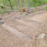 Glover-Archbold Trail, District of Columbia - 381 Reviews, Map | AllTrails