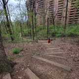 Glover-Archbold Trail, District of Columbia - 381 Reviews, Map | AllTrails