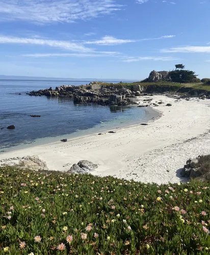 Best Hikes and Trails in Pacific Grove | AllTrails