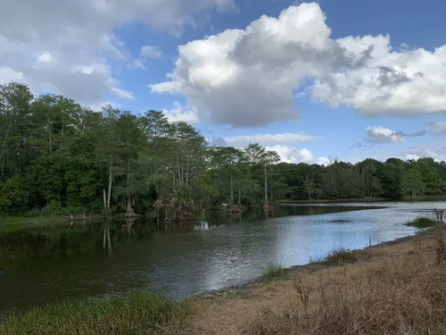 10 Best Mountain Biking Trails in Florida | AllTrails