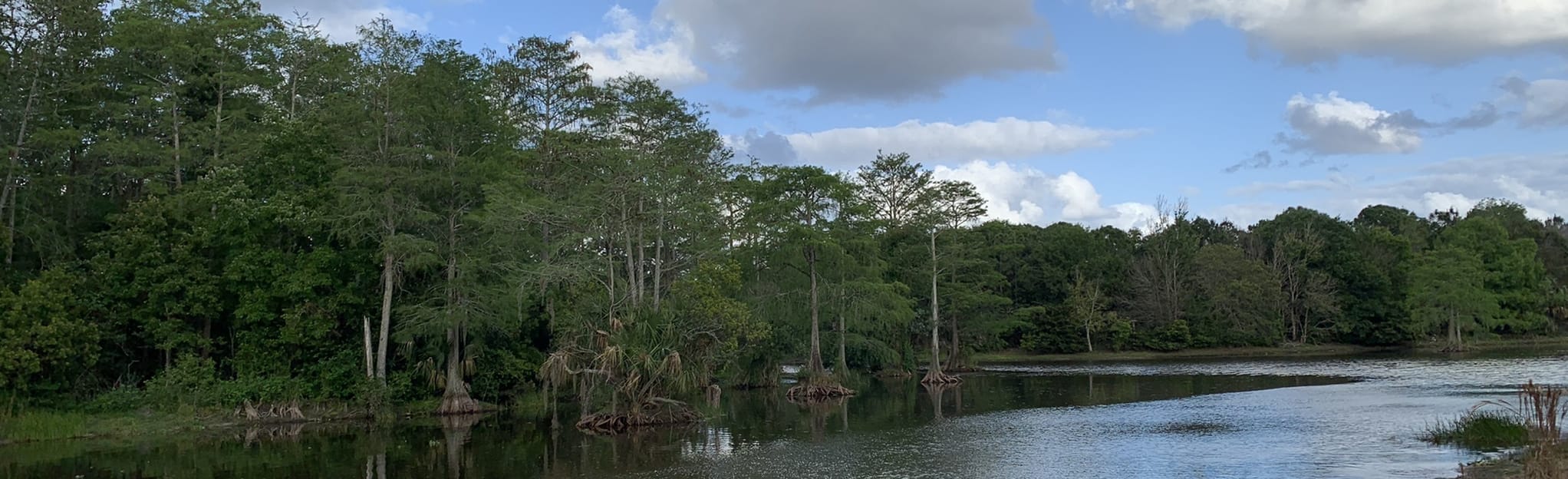 The Riverbend Park Loop: 886 Reviews, Map - Florida | AllTrails