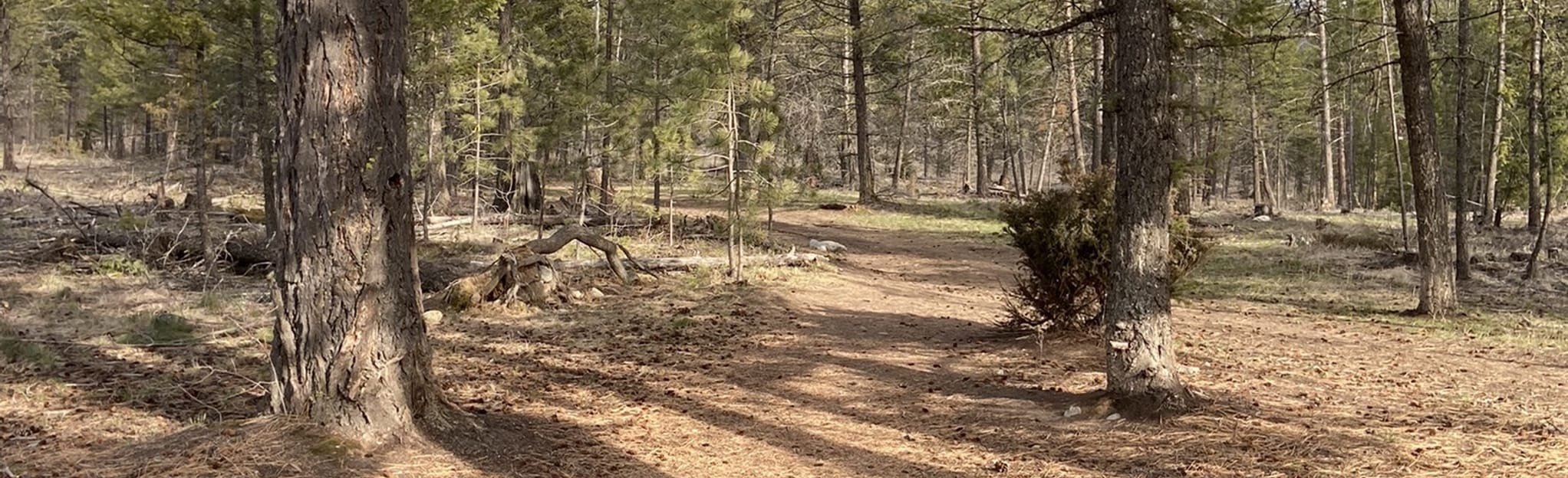 Fenceline Trail, British Columbia, Canada - 40 Reviews, Map | AllTrails