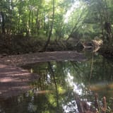 Viles Branch Equestrian Trail, Arkansas - 22 Reviews, Map | AllTrails