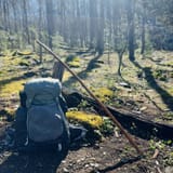 Mt. Cammerer Backpacking Loop [CLOSED], Tennessee - 36 Reviews, Map ...