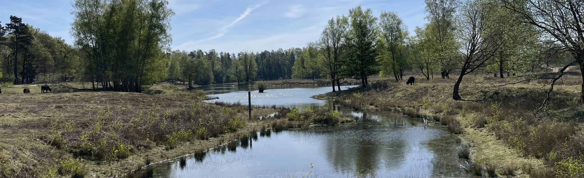 Vijf Eiken - Surae: 29 Reviews, Map - North Brabant, Netherlands ...