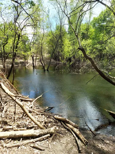 Best Hikes and Trails in Erwin Municipal Park | AllTrails