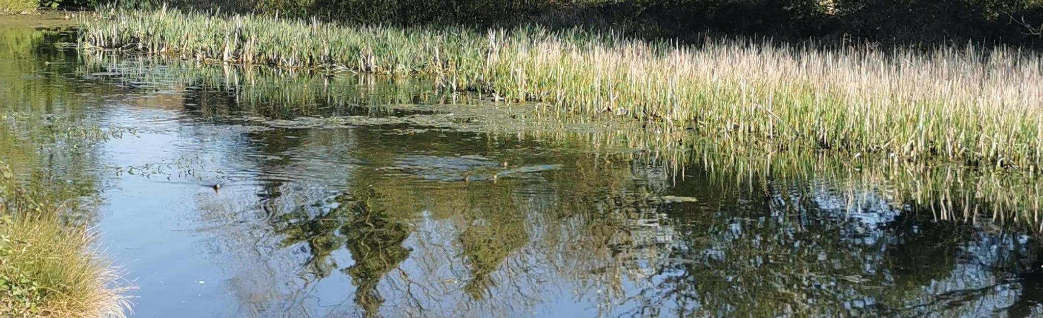 Nettleham Circular: 40 Reviews, Map - Lincolnshire, England | AllTrails
