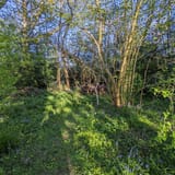 Old Basing Northern and River Loddon Circular, Hampshire, England - 195 ...