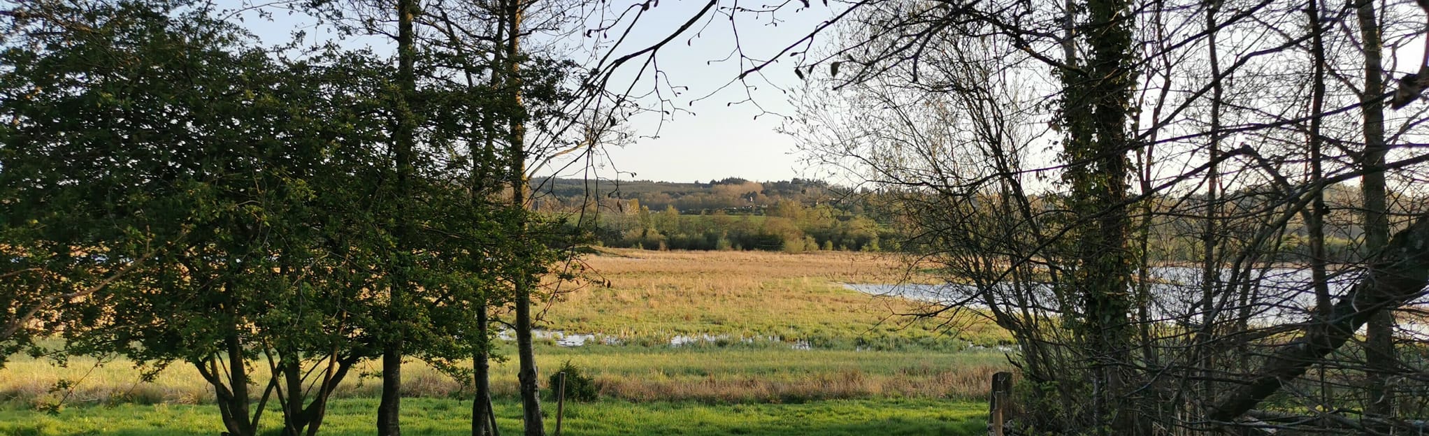 Baron's Haugh and Dalzell Estate, North Lanarkshire, Scotland - 39 ...