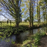 Old Basing Northern and River Loddon Circular, Hampshire, England - 195 ...