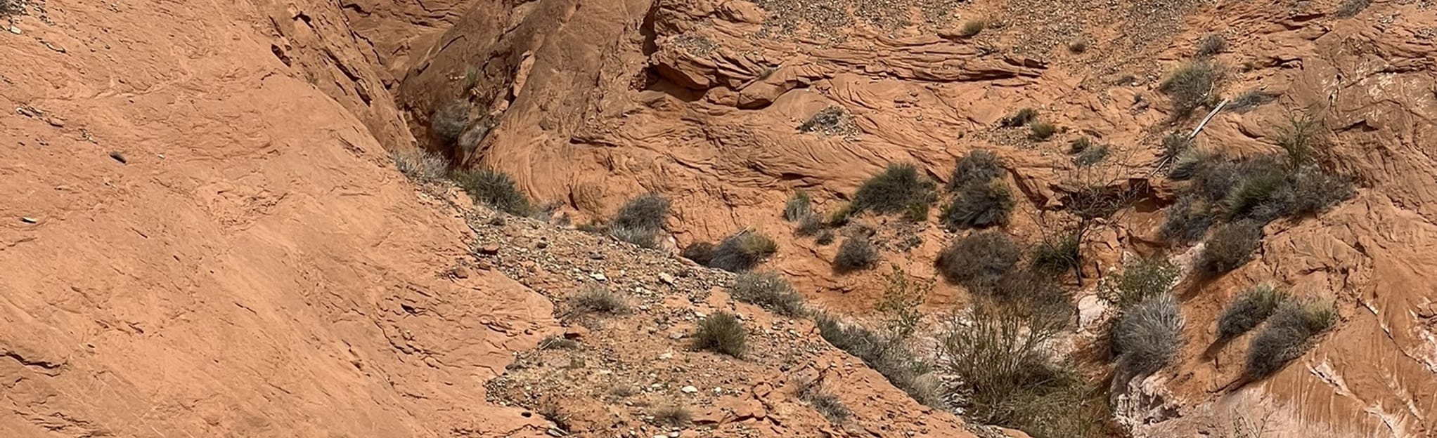 Bullfrog Bay Slot Canyon From Red Wash Trailhead, Utah - 8 Reviews, Map ...