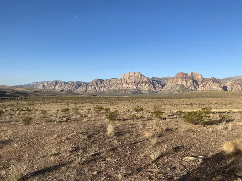 10 Best Trails and Hikes in Blue Diamond | AllTrails