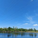 Shadow Bay Park Loop, Florida - 198 Reviews, Map | AllTrails