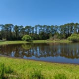 Shadow Bay Park Loop, Florida - 198 Reviews, Map | AllTrails