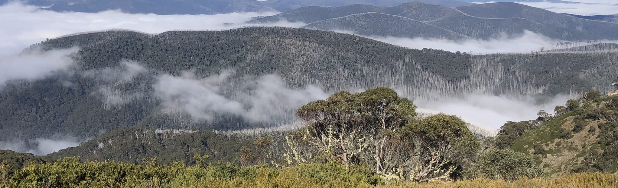 Little Mount Higginbotham Summit, Victoria, Australia - 2 Reviews, Map ...