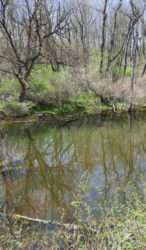 Best Hikes and Trails in Spring Valley Park | AllTrails