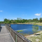 Shadow Bay Park Loop, Florida - 178 Reviews, Map | AllTrails