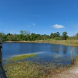 Shadow Bay Park Loop, Florida - 178 Reviews, Map | AllTrails