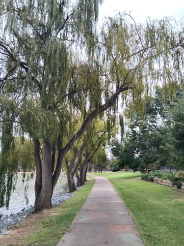 Best Hikes and Trails in Kalinga Park | AllTrails