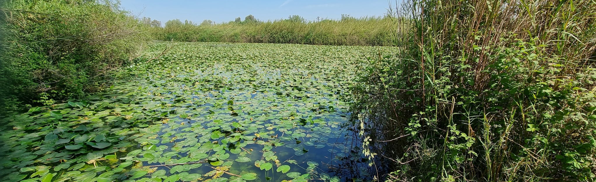 Petah Tikva and Nahshonim Loop, Central District HaMerkaz, Israel - 4 ...