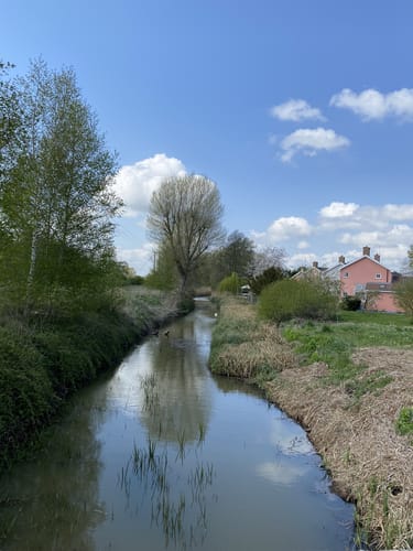 2023 Best Pub Walks in Diss | AllTrails