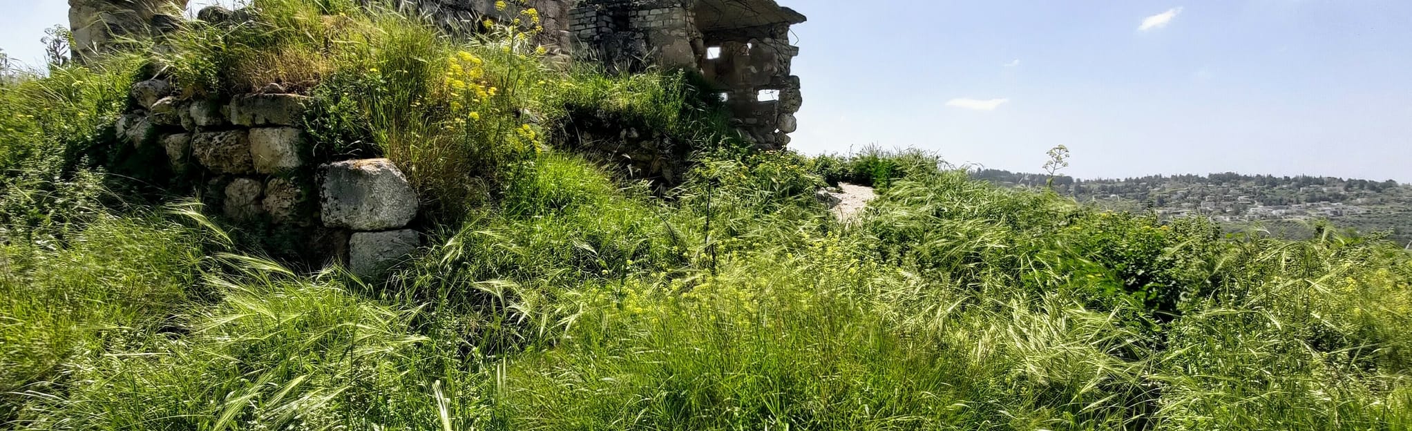 Latrun Monastery of Silence Loop, Jerusalem, Israel - 2 Reviews, Map ...