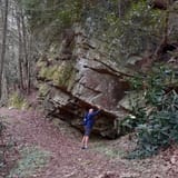Pinnacle Overlook Trail, Kentucky - 196 Reviews, Map | AllTrails
