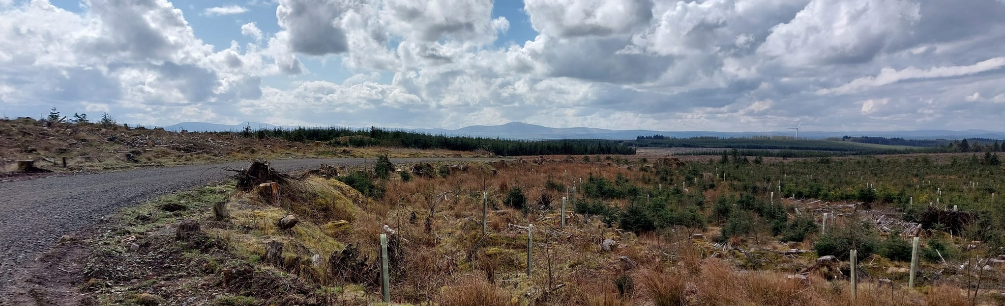 Worm Law and Mouse Water Circular, North Lanarkshire, Scotland - 34 ...