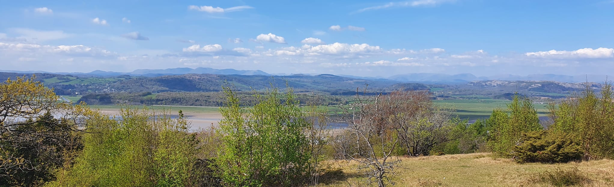 Grubbins Wood and Arnside Knott Circular: 32 Reviews, Map - Lancashire ...