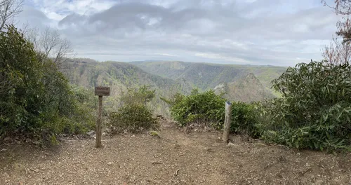 Best Wild Flowers Trails in Meadows of Dan | AllTrails