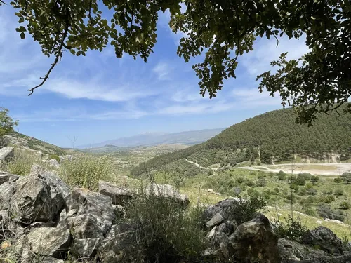 Best Trail Running Trails in Birya Forest | AllTrails