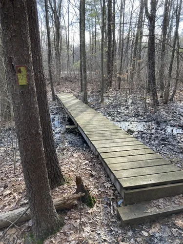 Best Hikes and Trails in Dover | AllTrails