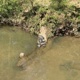 Heath Lake Loop, Georgia - 413 Reviews, Map | AllTrails