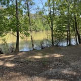 Heath Lake Loop, Georgia - 413 Reviews, Map | AllTrails