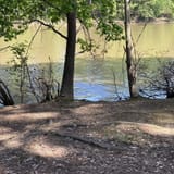 Heath Lake Loop, Georgia - 413 Reviews, Map | AllTrails