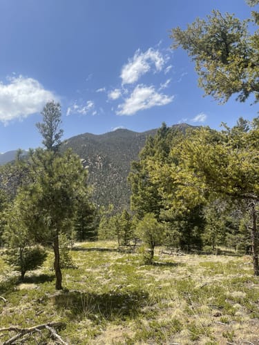 Best 10 Hikes and Trails in North Cheyenne Cañon Park | AllTrails