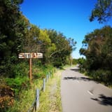 Fernleigh Track, New South Wales, Australia - 259 Reviews, Map | AllTrails