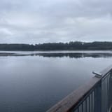 Devilbend Reservoir Loop, Victoria, Australia - 270 Reviews, Map ...