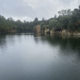 Devilbend Reservoir Loop, Victoria, Australia - 270 Reviews, Map ...
