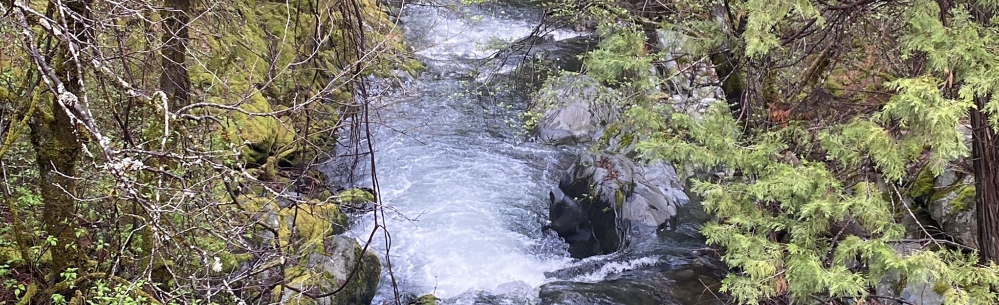 Hazel Creek Road, California - 30 Reviews, Map | AllTrails