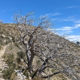 Tejas Trail and McKittrick Ridge, Texas - 34 Reviews, Map | AllTrails