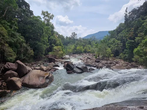 Best Walking Trails in Endau Rompin National Park (Peta) | AllTrails