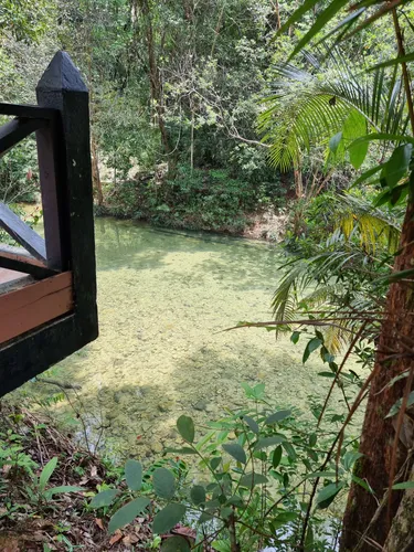 10 Best Views Trails in Endau Rompin National Park (Peta) | AllTrails