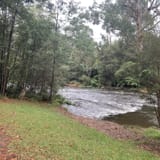 Warburton River Walk, Victoria, Australia - 209 Reviews, Map | AllTrails