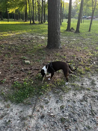 Best Hikes and Trails in Louise Suggs Memorial Park | AllTrails